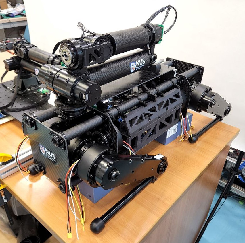 Bioinspired Robotics | Biorobotics Lab