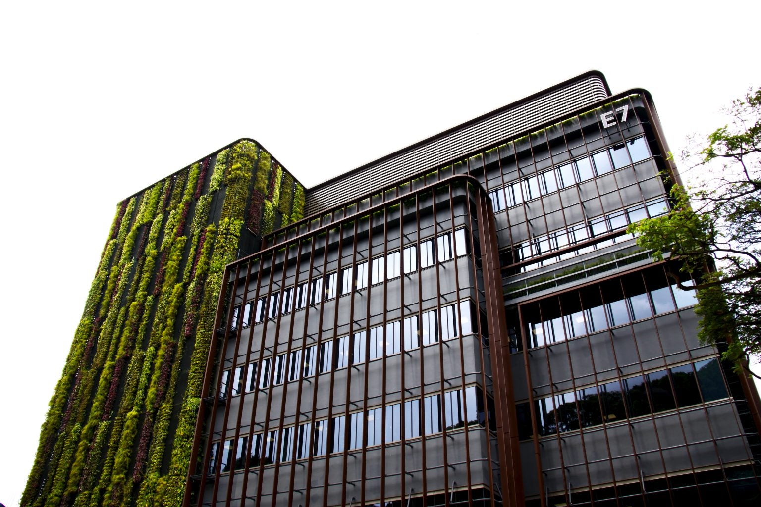 Master of Science (MSc) in Biomedical Engineering – Biomedical Engineering