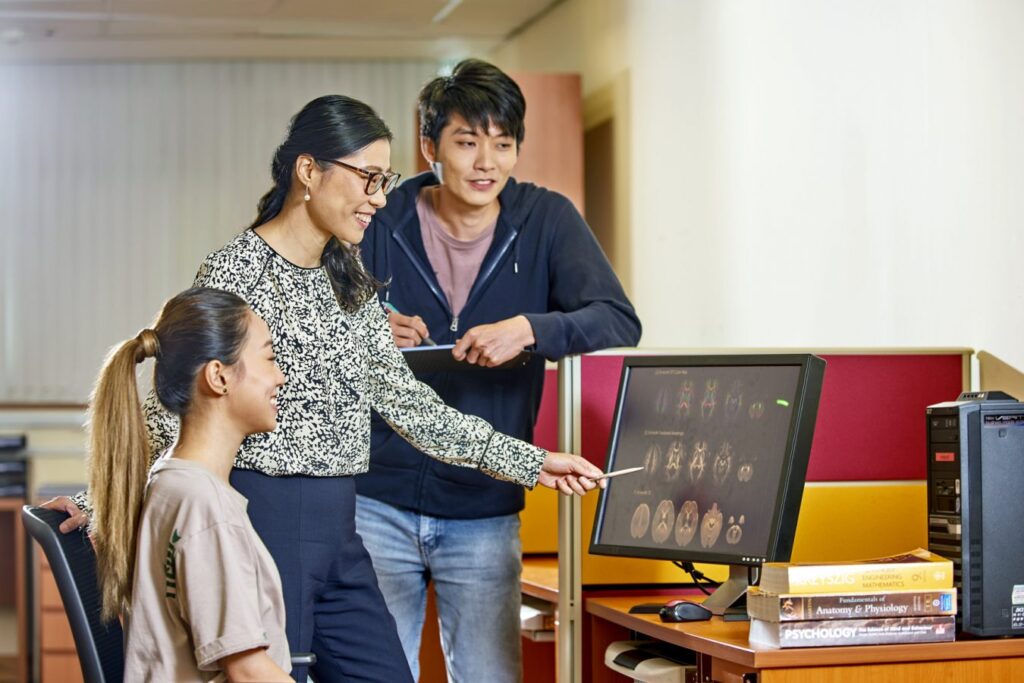 Overview – Biomedical Engineering