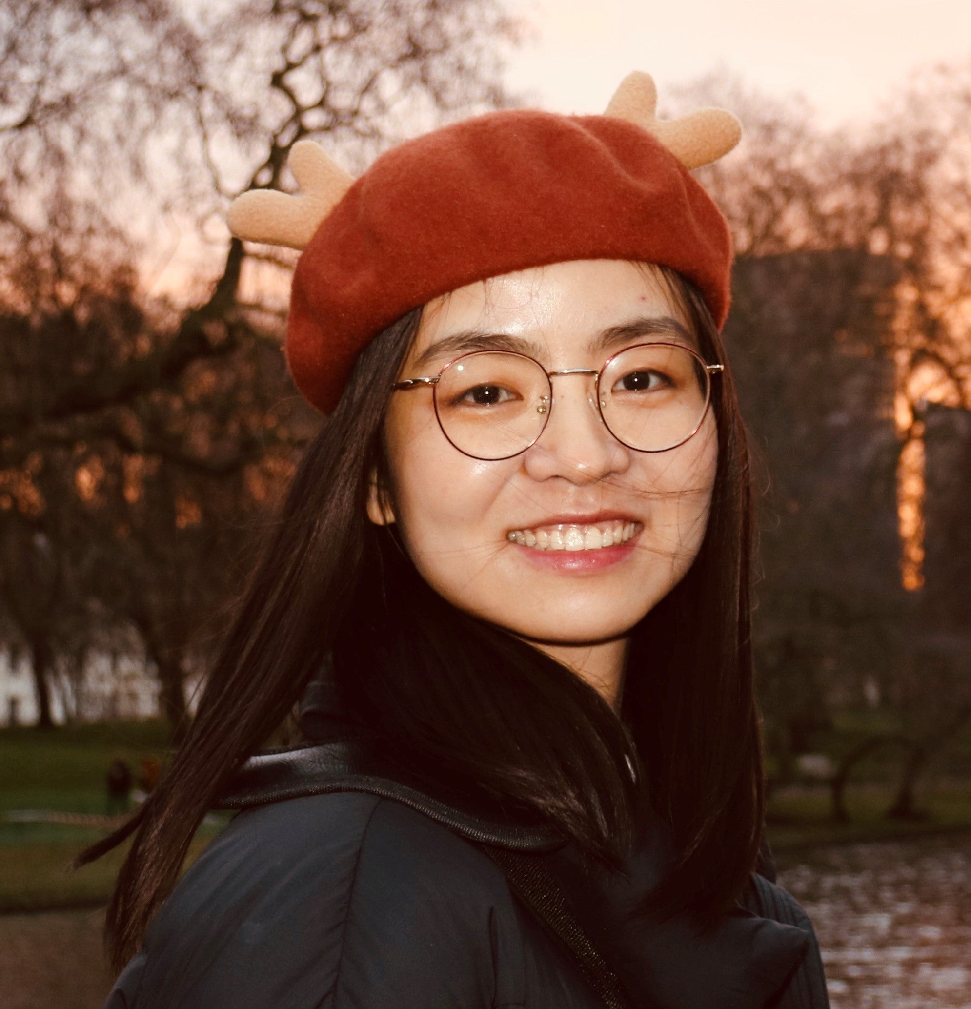 Dr Li Lei – Biomedical Engineering