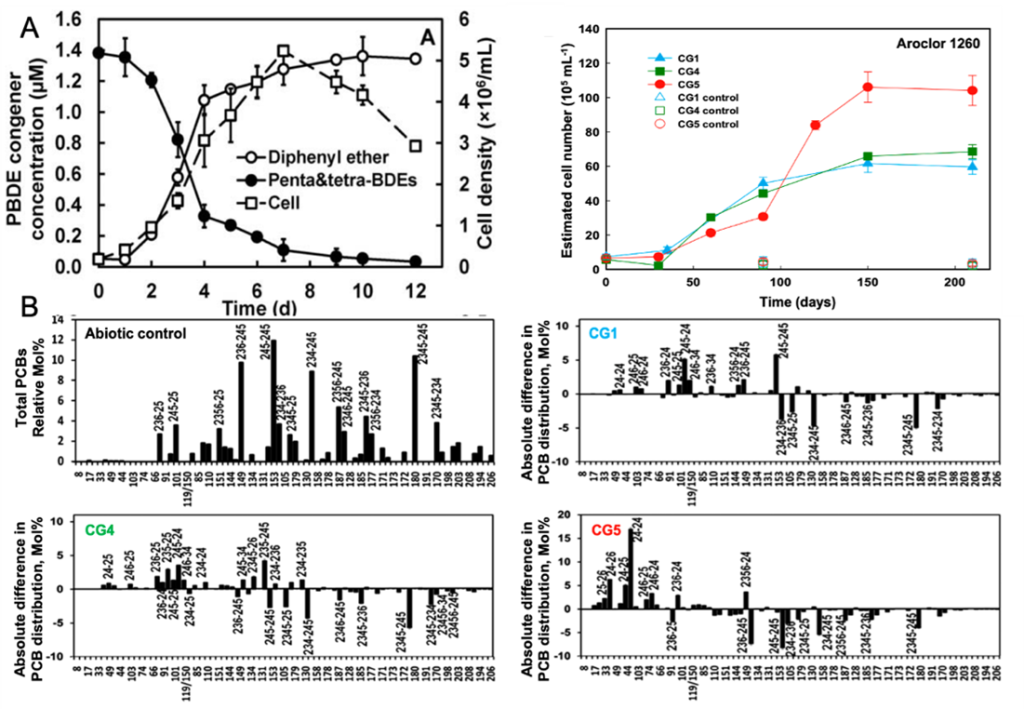 Microbial detoxification of persistent organohalide pollutants (POPs ...