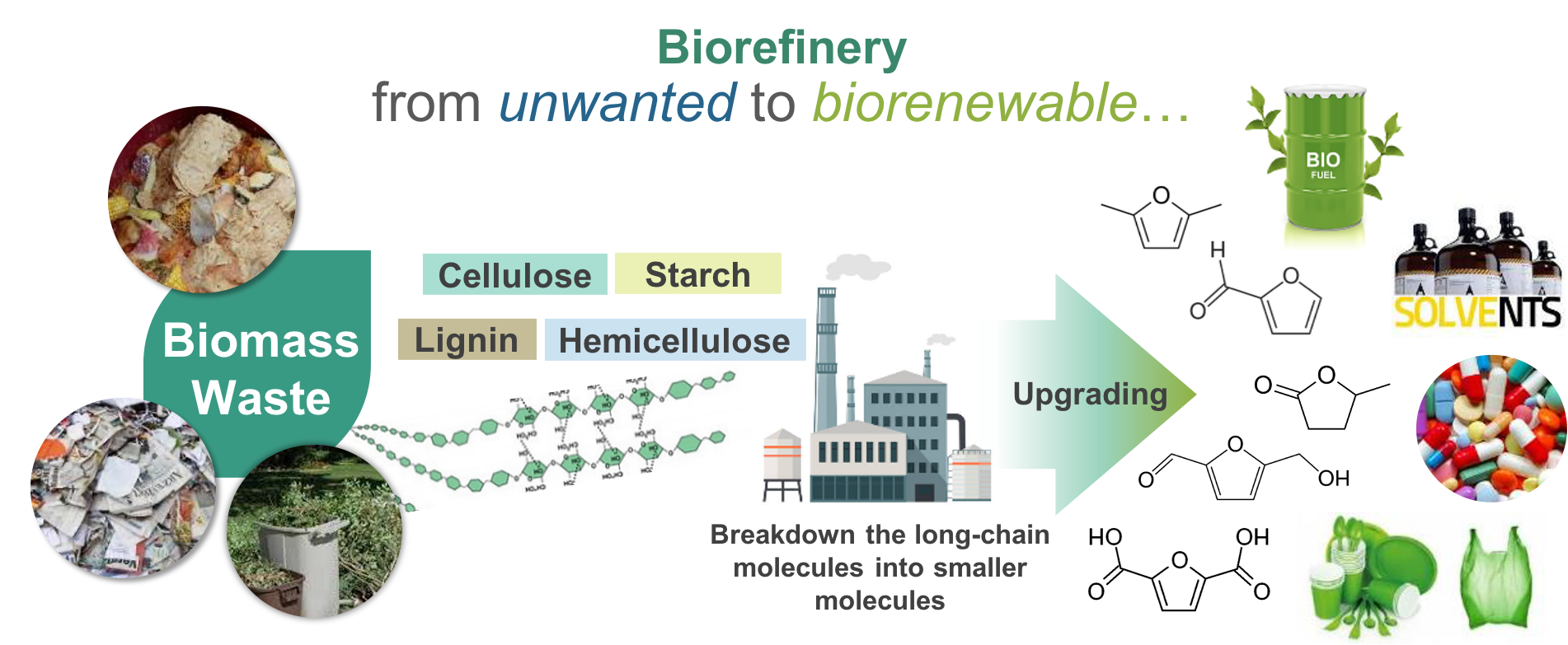Valorization of Bioresources – Towards a Circular Economy - Civil and Environmental Engineering ...