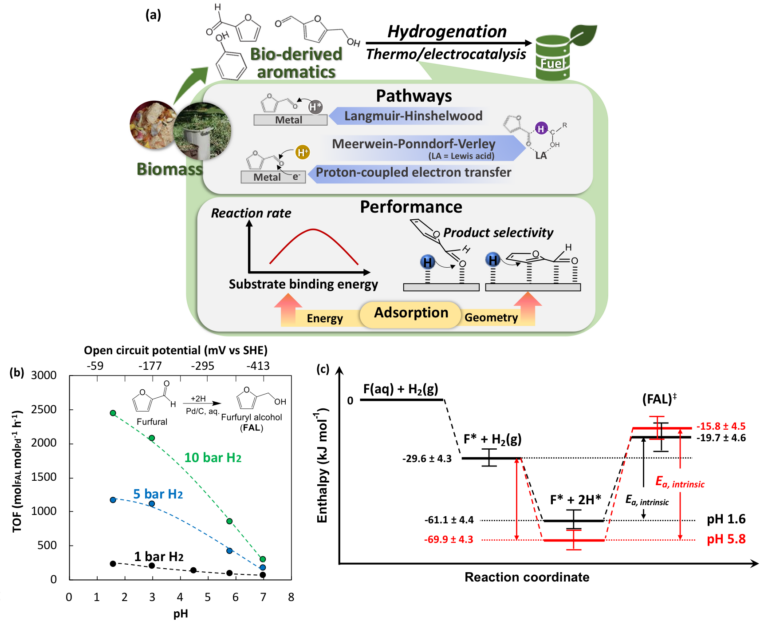 Valorization of Bioresources – Towards a Circular Economy - Civil and ...