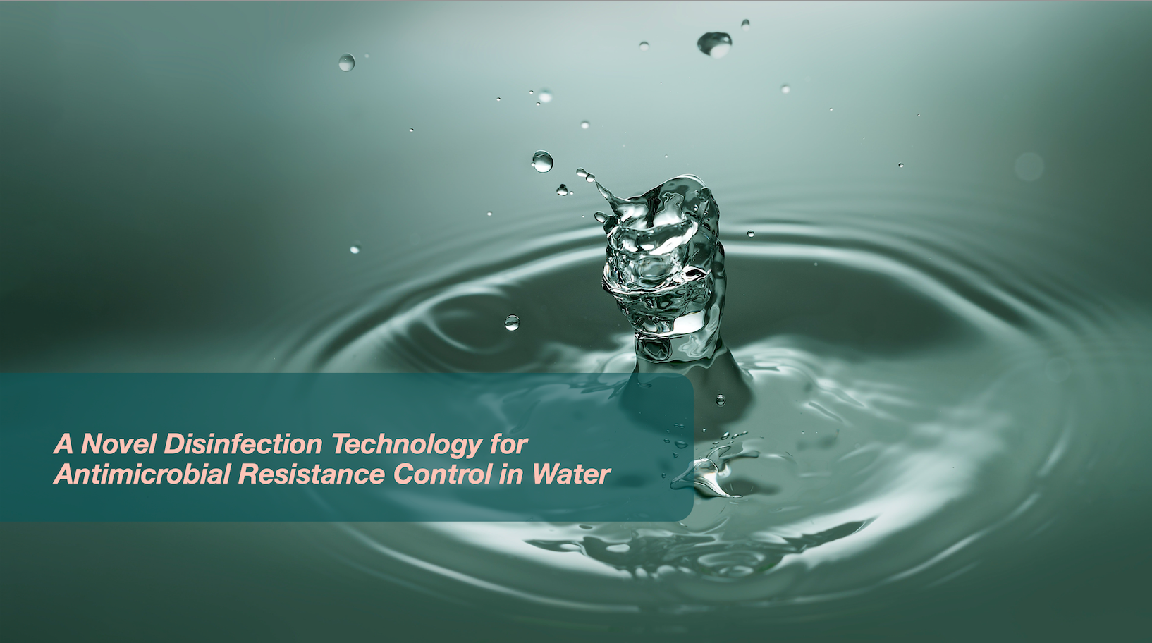 CWR - Civil and Environmental Engineering | NUS