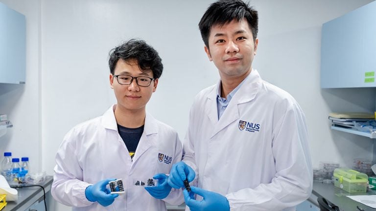 NUS researchers led by Dr Chen Po-Yen create new metallic material for ...