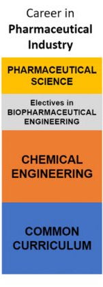Build Your Own Degree – Chemical and Biomolecular Engineering