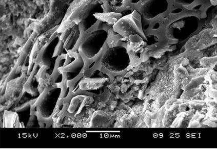 NUS team develop new method to strengthen building structures by mixing ...