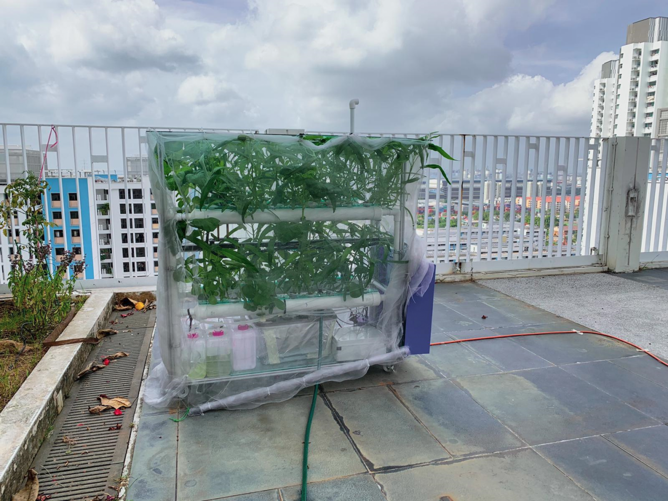 NeoFarm: Smart Urban Farming – Engineering Design and Innovation Centre