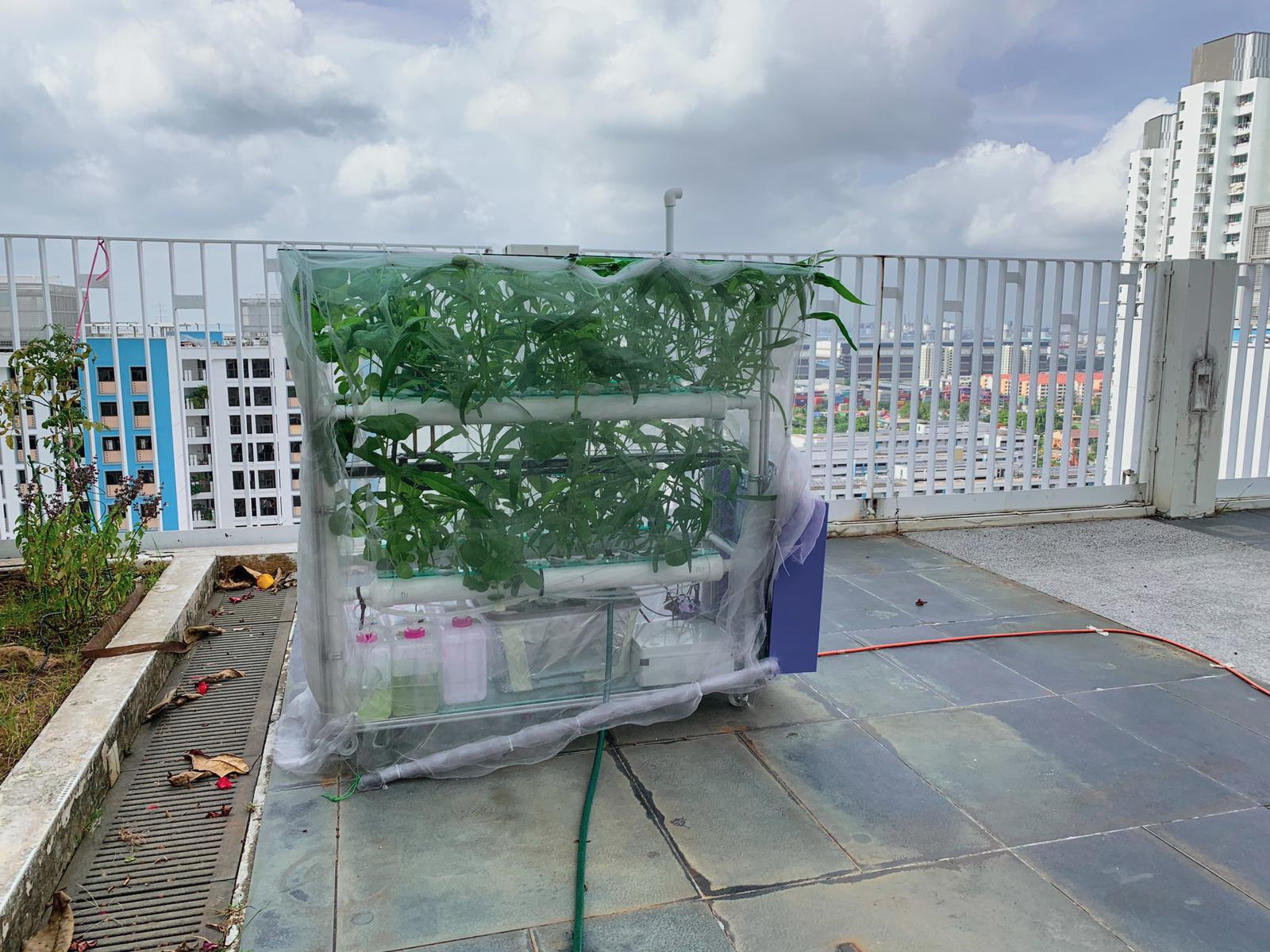 NeoFarm: Smart Urban Farming – Engineering Design and Innovation Centre