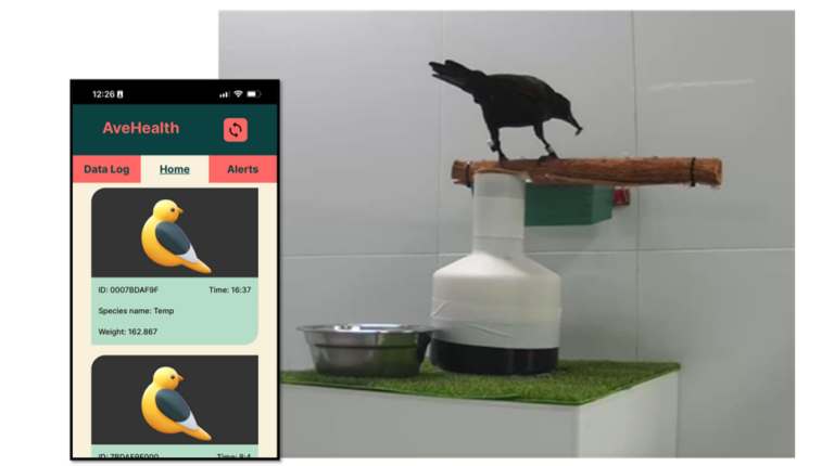 Bird health monitoring system for Mandai Bird Paradise – Engineering ...