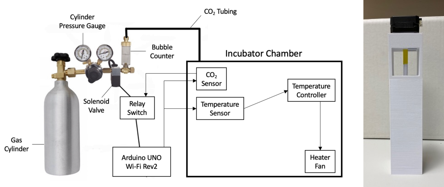 Robotic modular bioreactor for efficient immune cell manufacturing ...