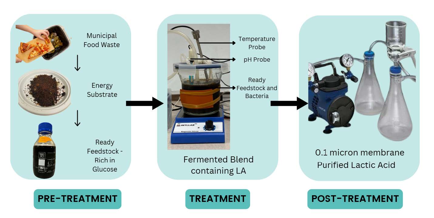 Valorisation of municipal food waste into lactic acid – Engineering ...