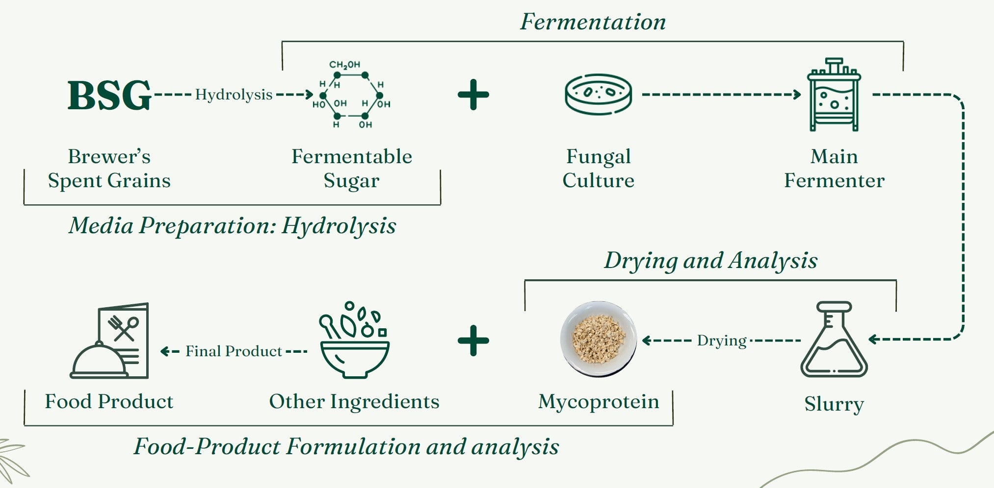 Myco-genesis: transforming Singapore’s food side streams into ...