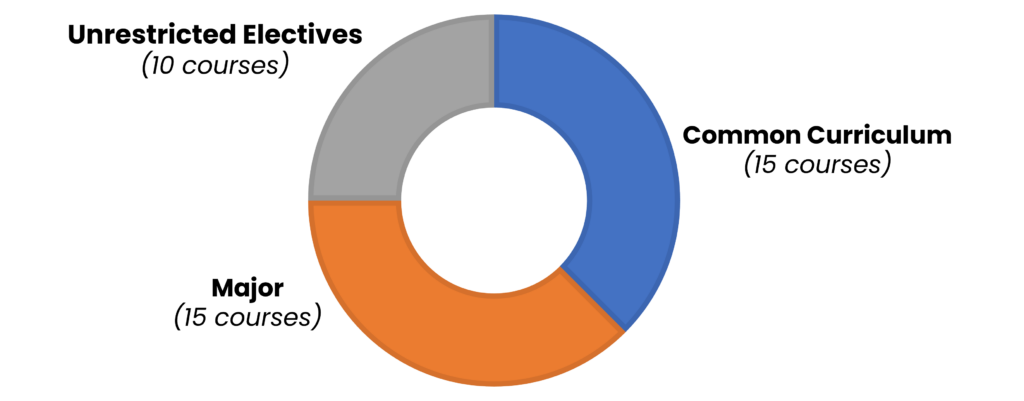 Curriculum Structure – Engineering Science Programme