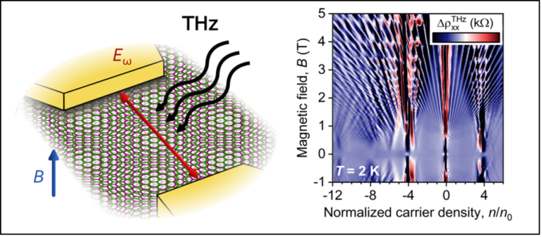 High-Mobility Compensated Semimetals, Orbital Magnetization, and ...