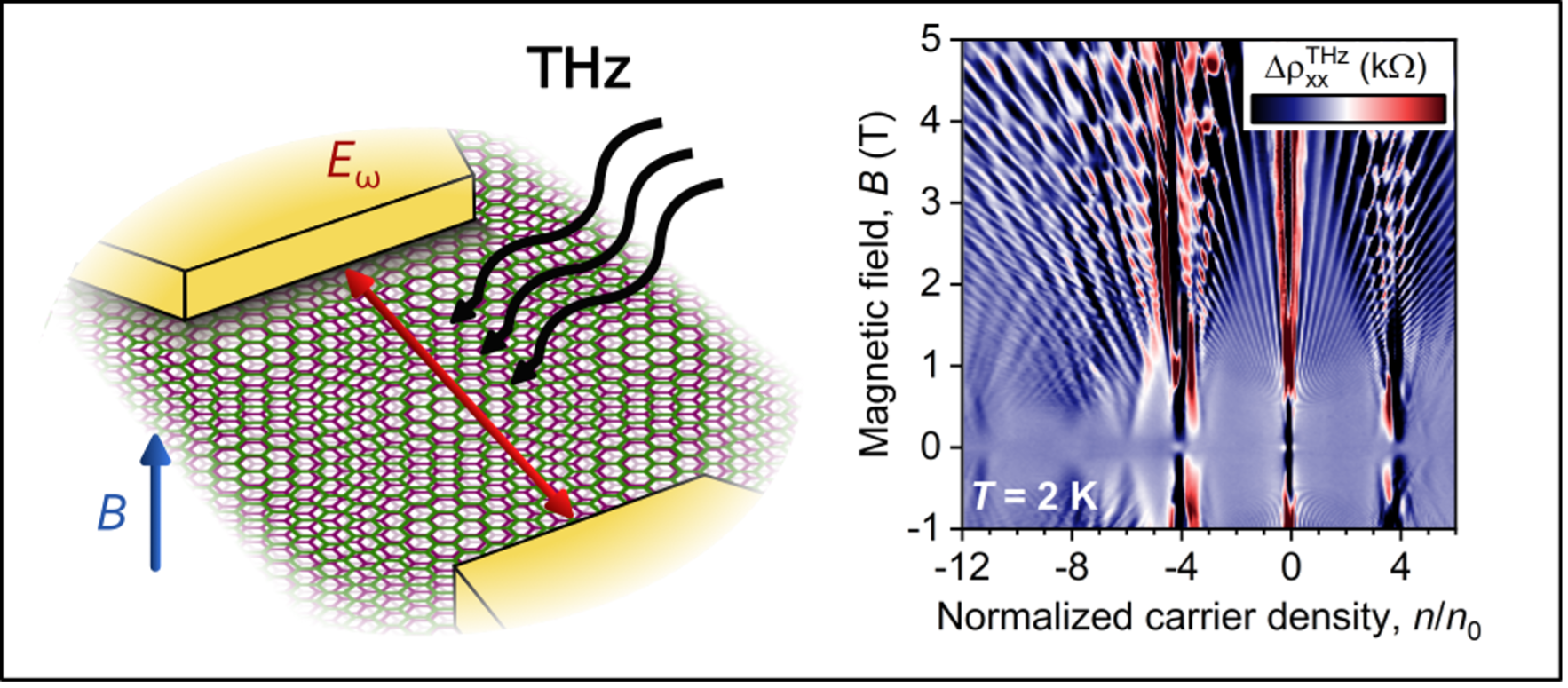 High-Mobility Compensated Semimetals, Orbital Magnetization, and ...