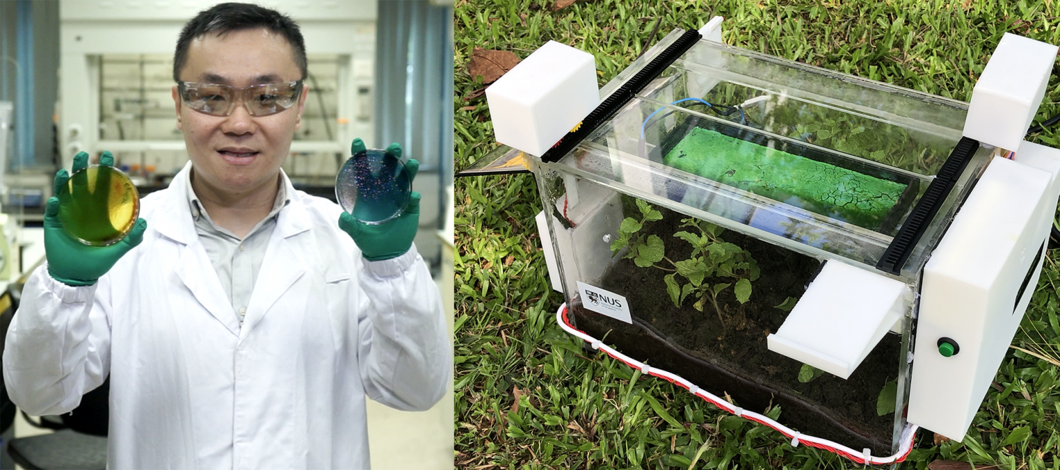 NUS hydrogel tested for Mars mission farms - College of Design and ...