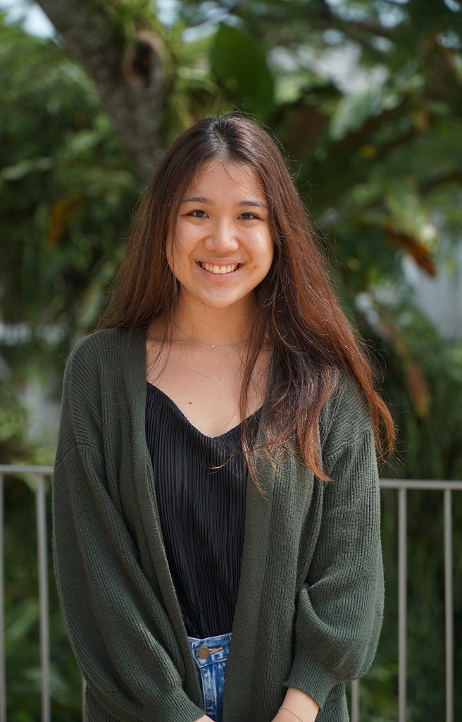 Peer Student Supporters - College of Design and Engineering