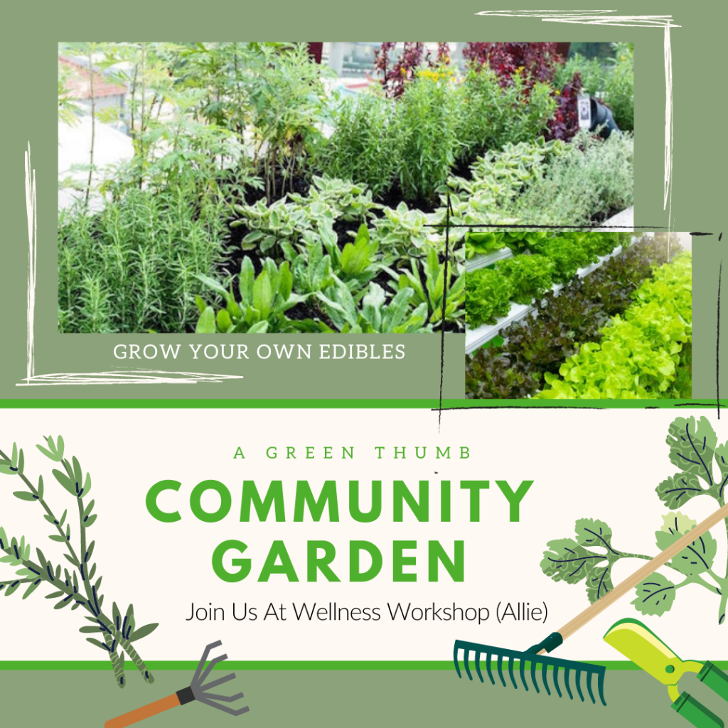 Student wellness - College of Design and Engineering