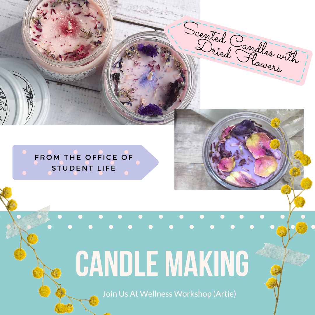 Student wellness - College of Design and Engineering