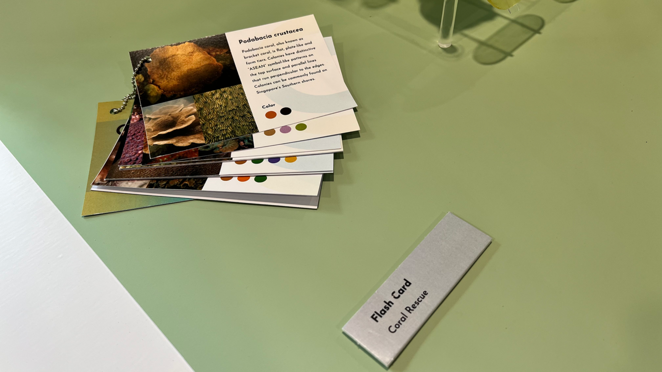 Conservation kit encourages public to grow coral at home - College of ...