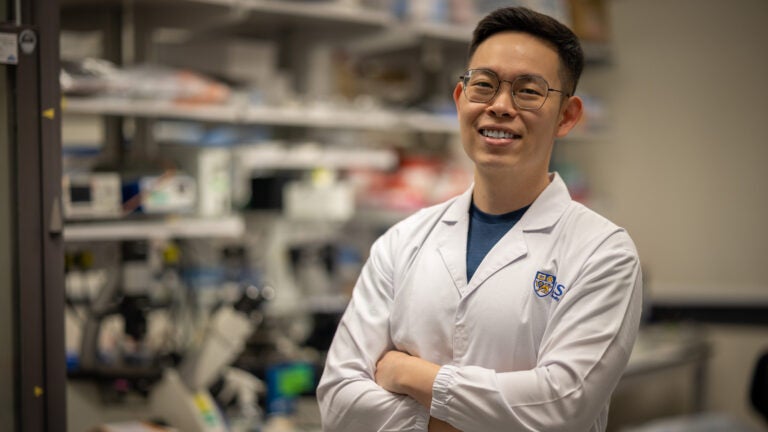 Discovery opens insights into ways to halt or reverse tumor growth ...