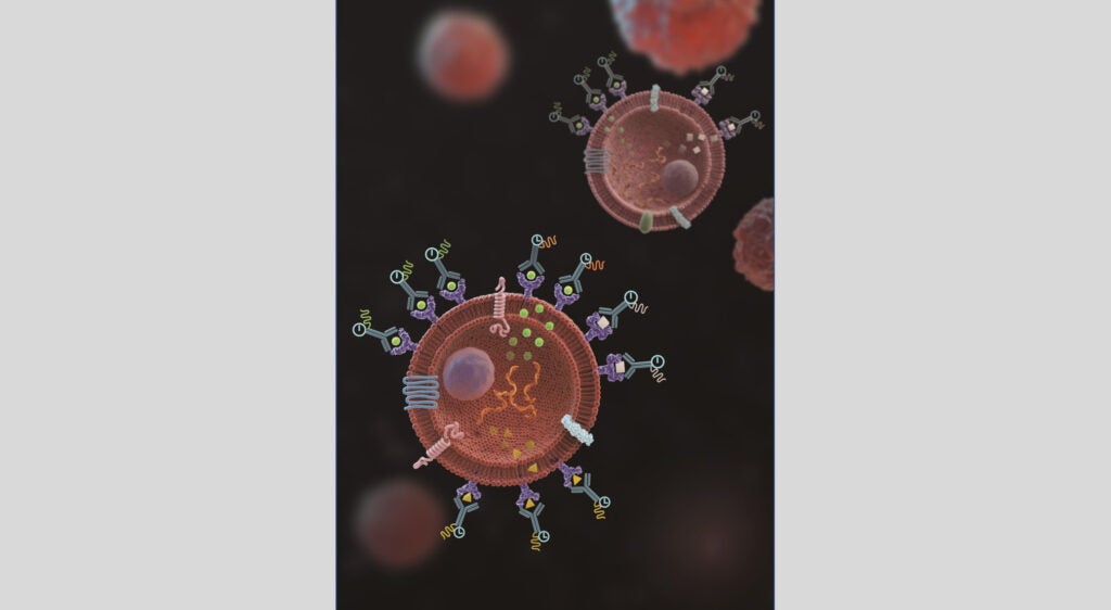 Powerful tool gathers immune response data at single-cell level ...