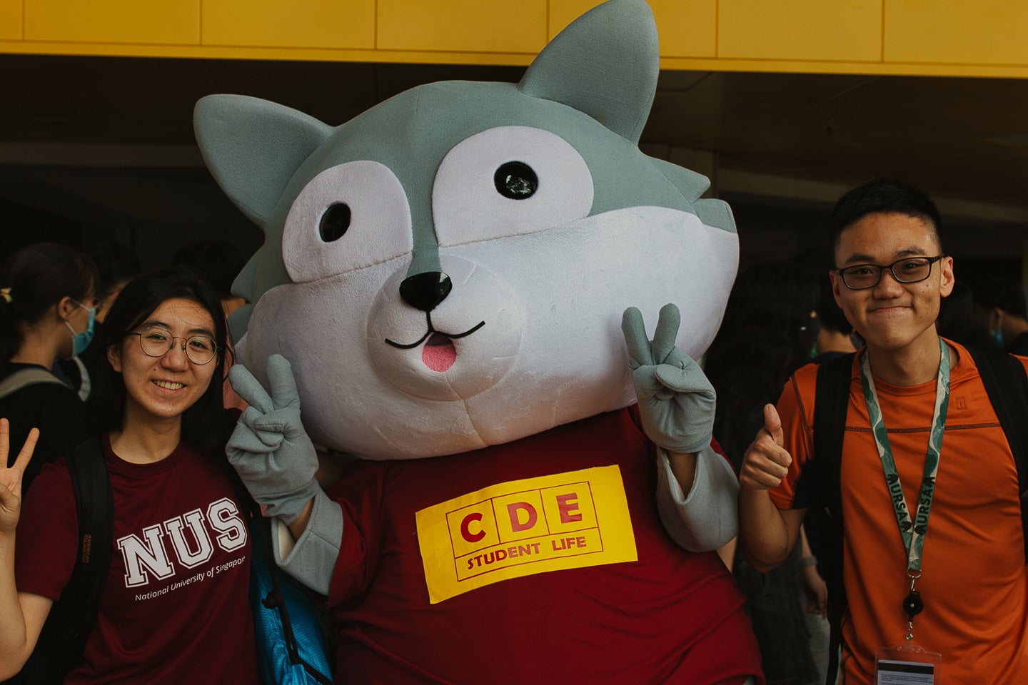 Our Mascot - College of Design and Engineering
