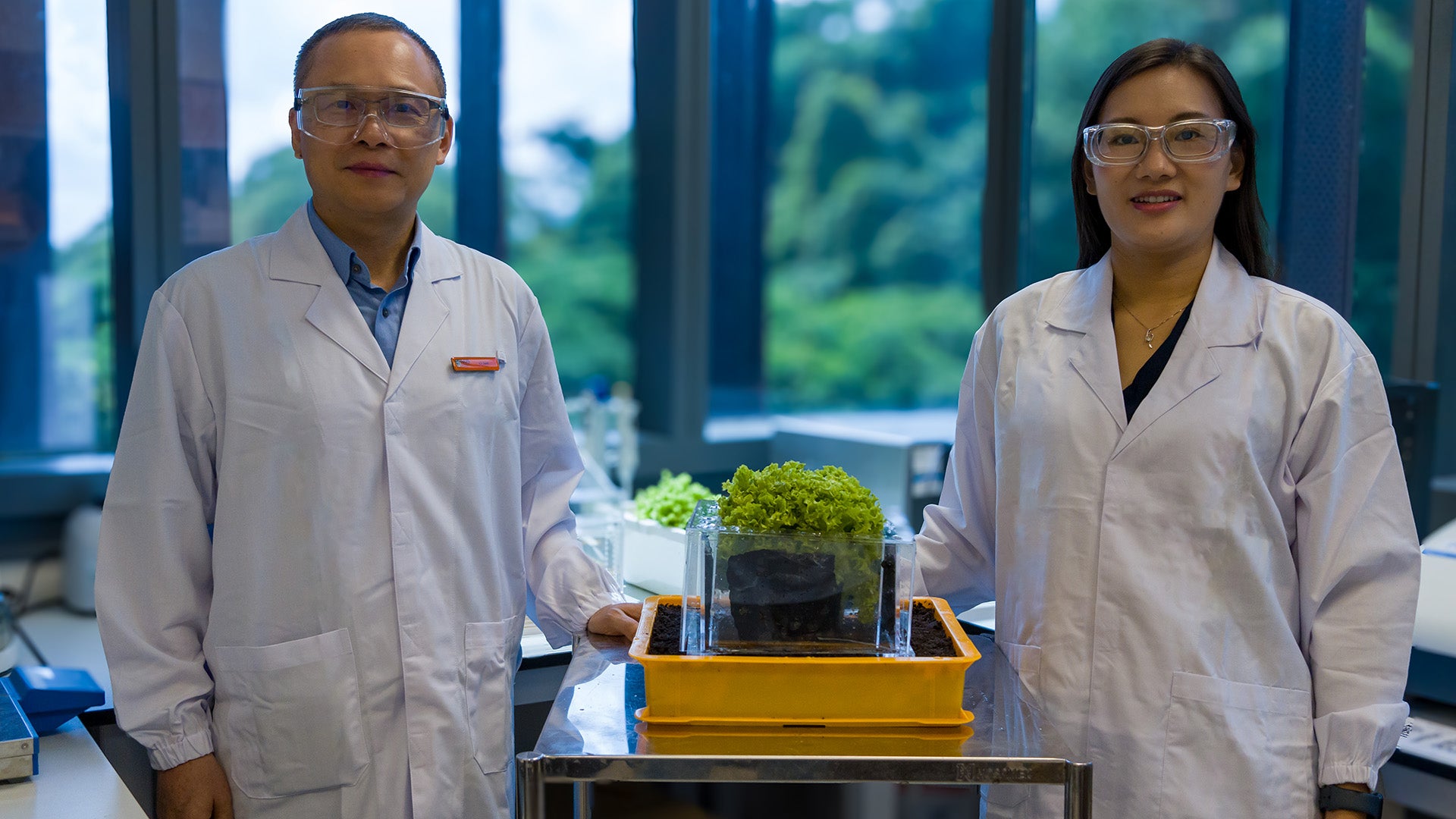 Home - College of Design and Engineering