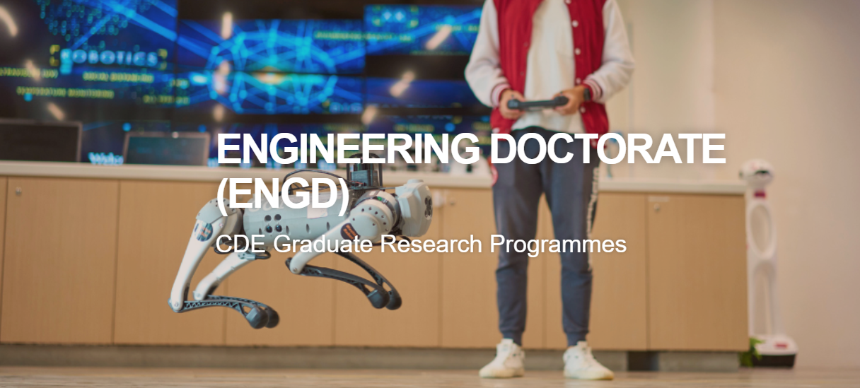 Engineering Doctorate (EngD) - College of Design and Engineering