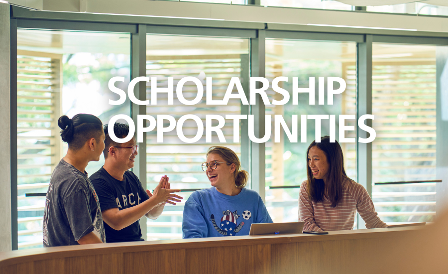 Scholarship Opportunities - College of Design and Engineering