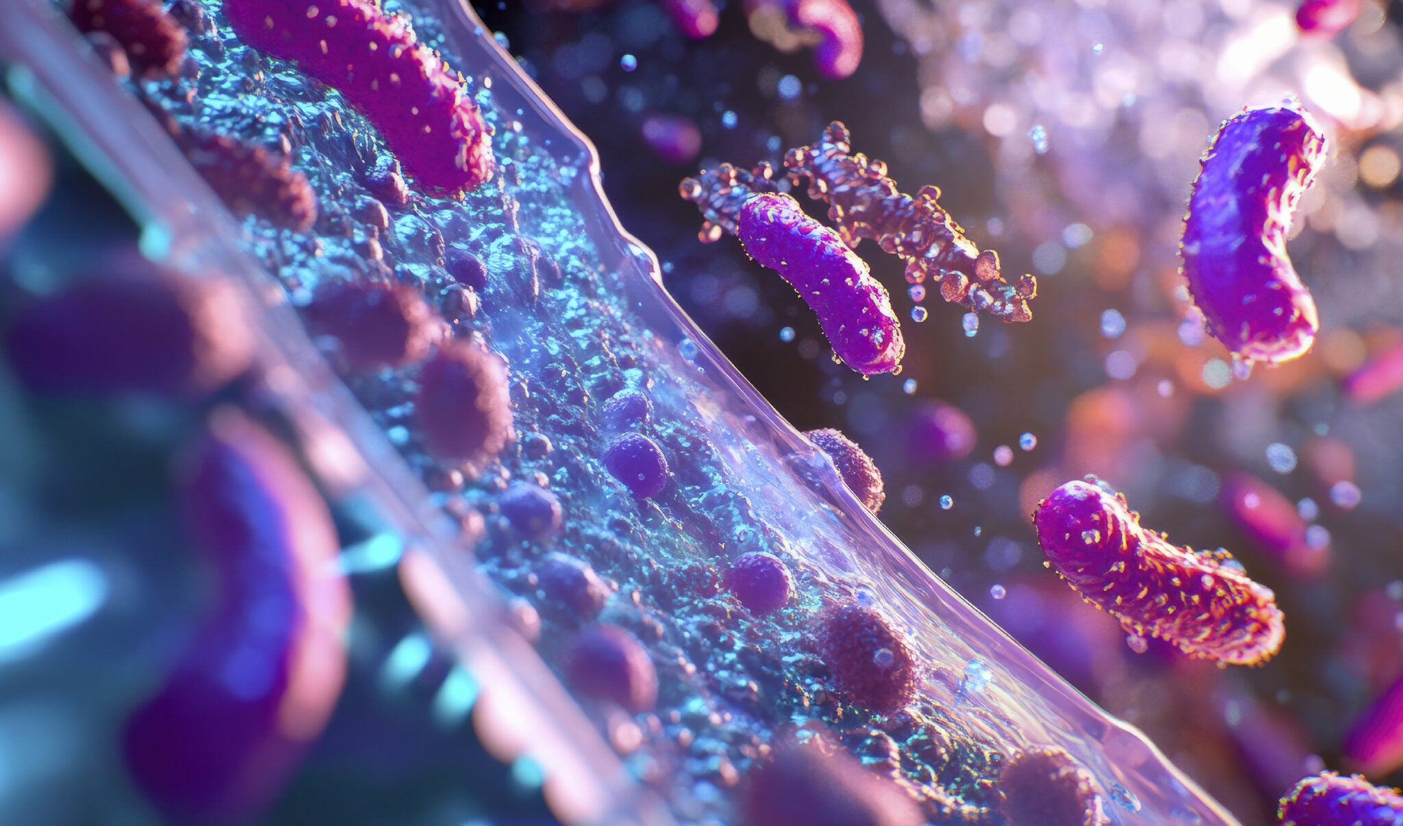 Into the world of gut microbes - College of Design and Engineering