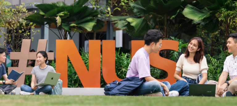 Internship and Research Immersion in Singapore (IRIS) @ NUS - College ...