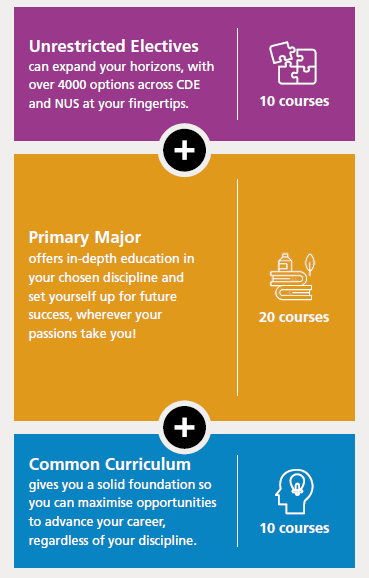 Curriculum Structure - College of Design and Engineering