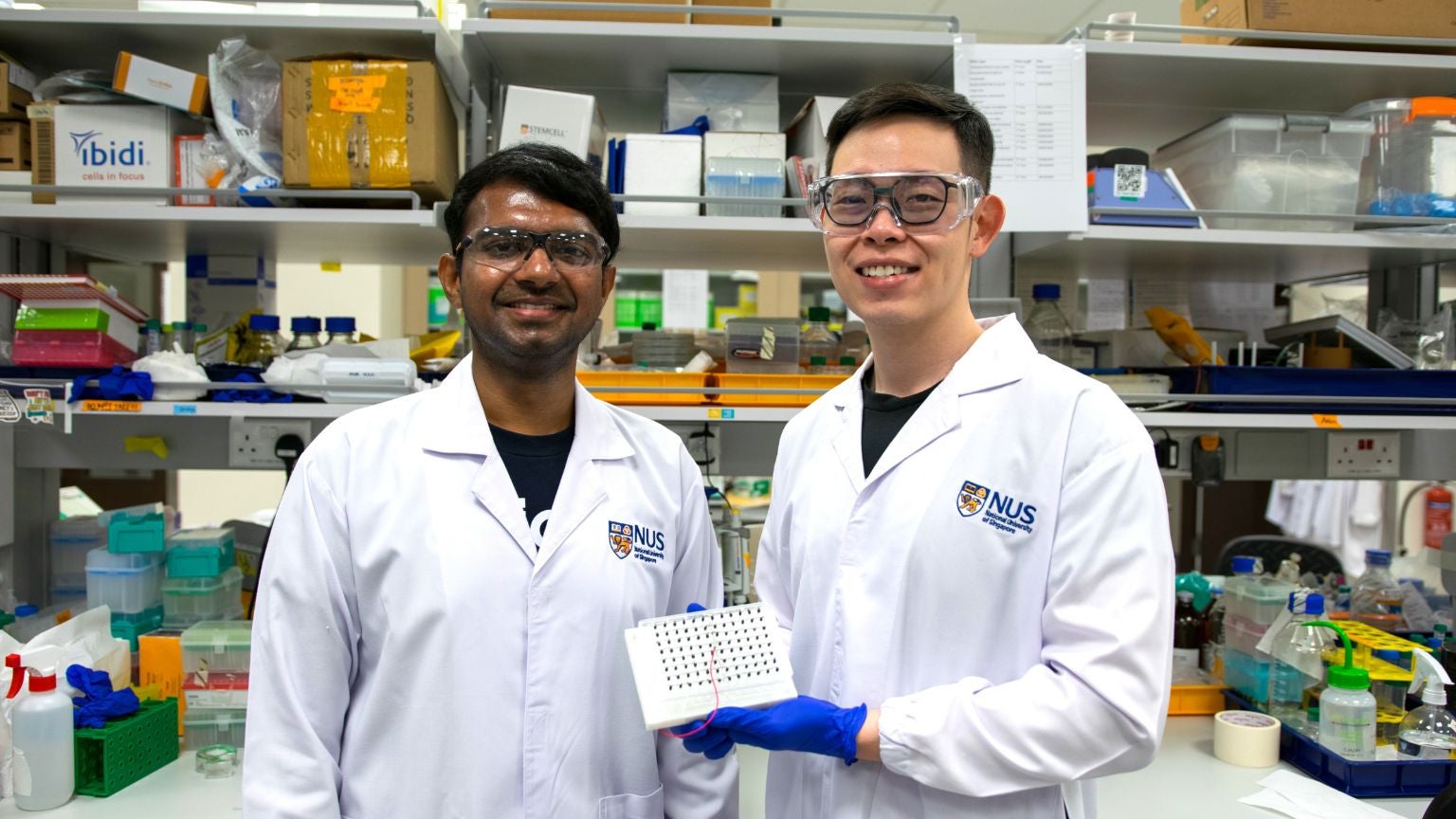 Gene platform promises improved cancer cell therapies - College of ...